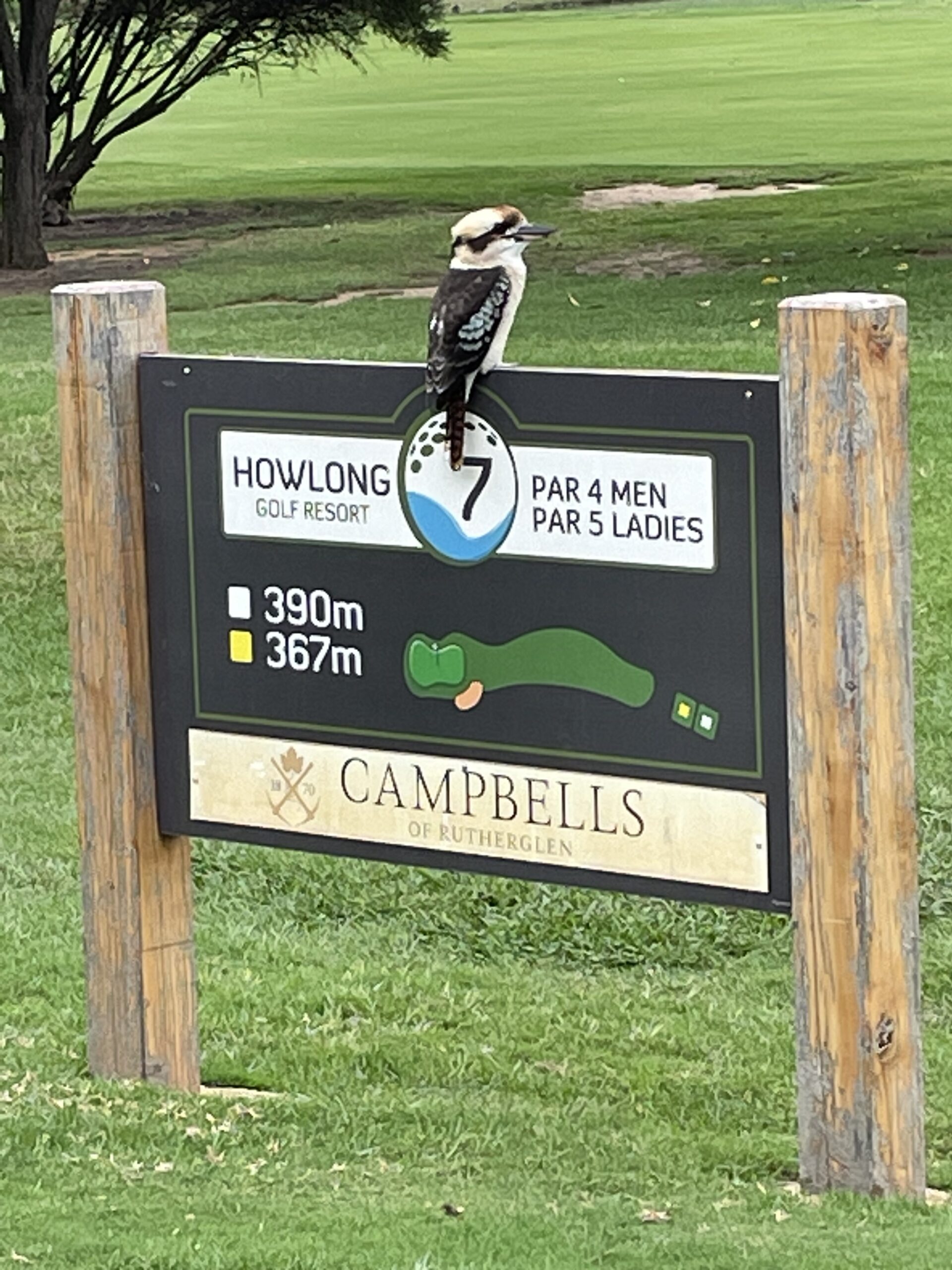 Gallery - Mentone Golf Club